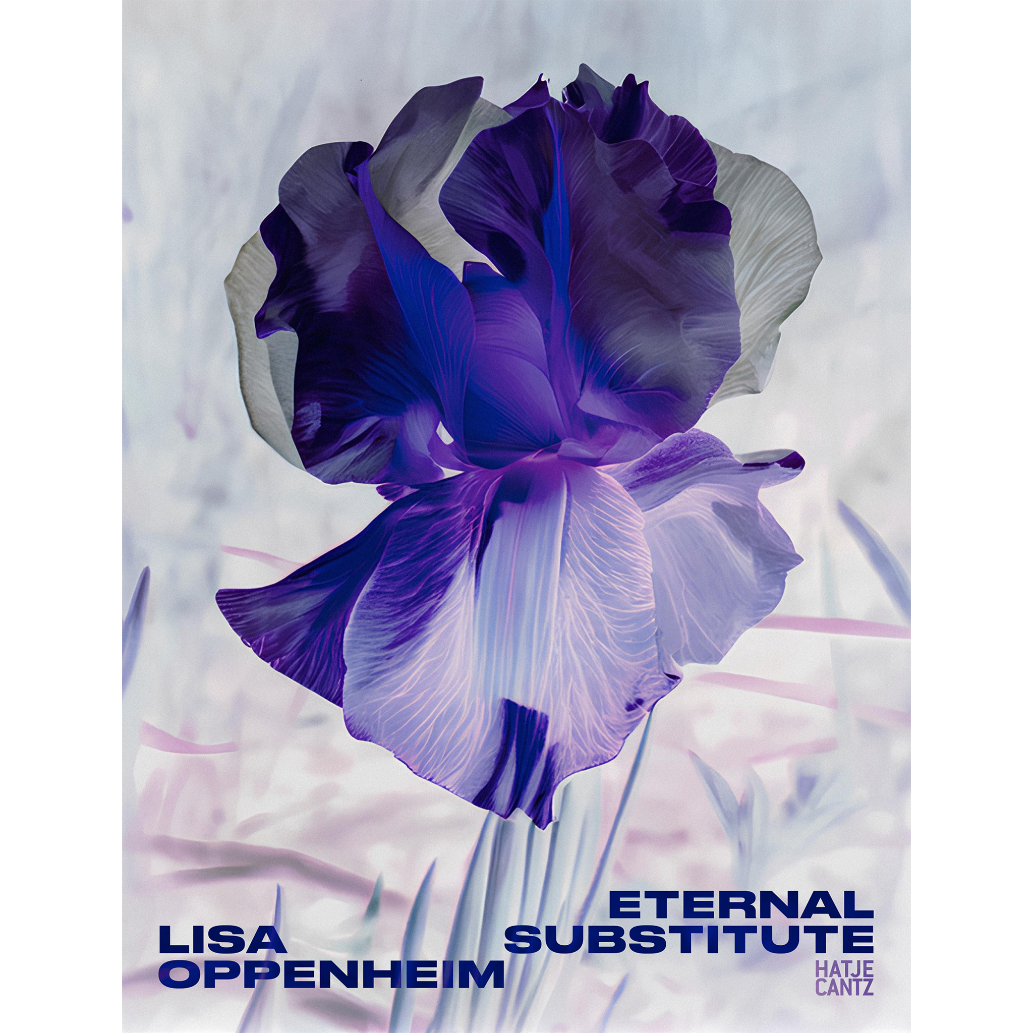 Lisa Oppenheim: The Eternal Substitute - Hatje Cantz